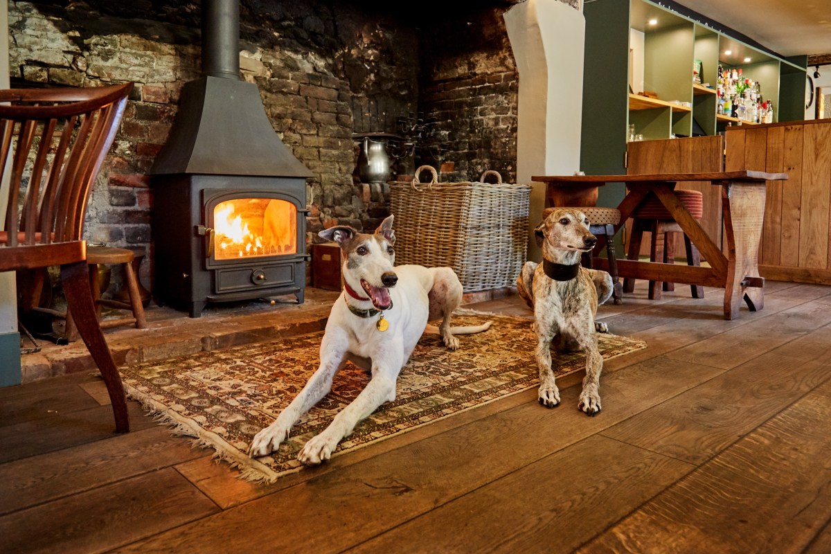 Celebrate, Dine and Sleep at The Greyhound – The Travel Locker